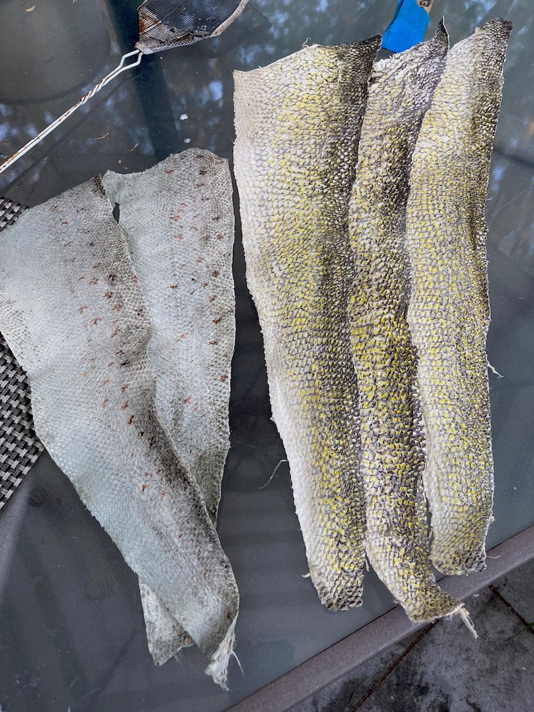 Fishskin Tanning Class | Fiskur Leather